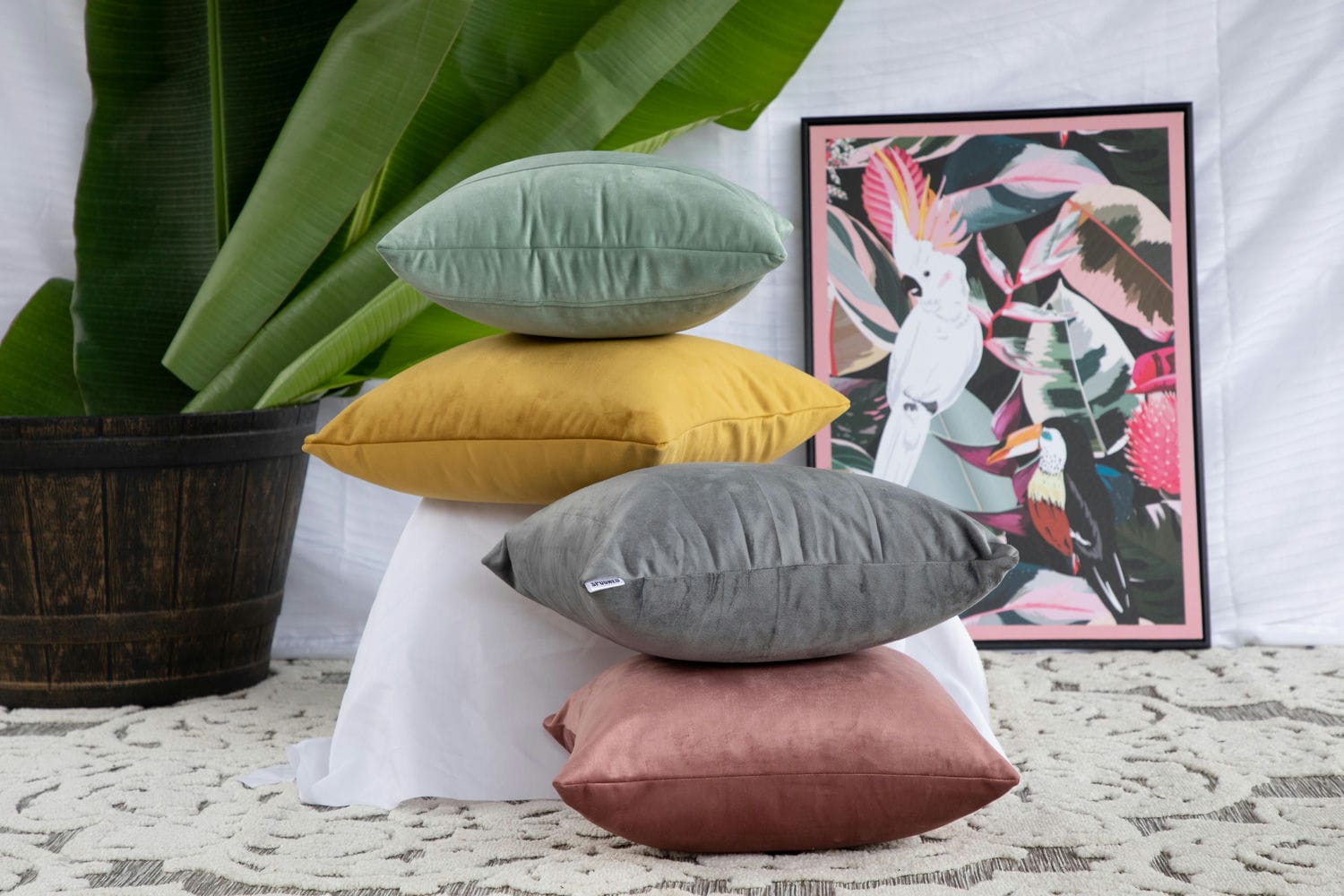 Home - Dust Comfy Store